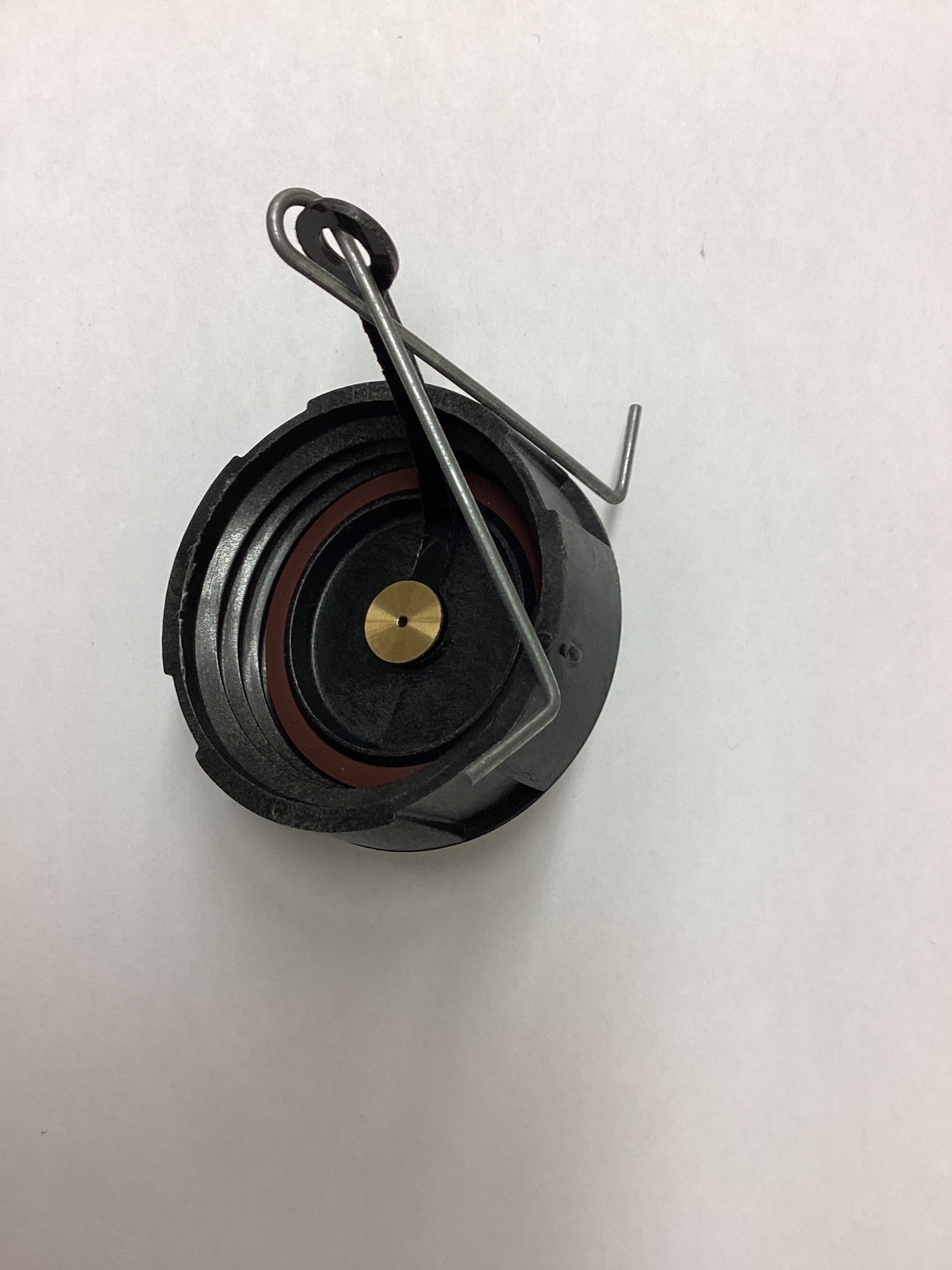 CAP ASSY, OIL W/VALVE P/N 176217