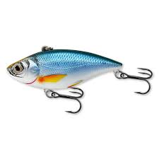 Live Target Golden Shiner